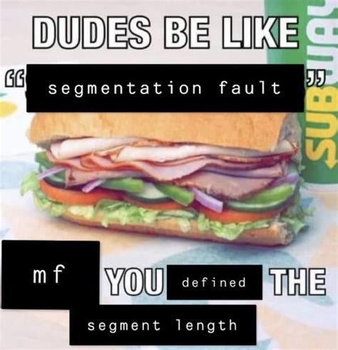 Segmentation Fault Your Fault Rprogrammerhumor