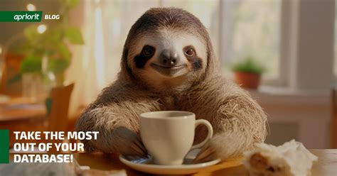 How To Boost Database Performance With Apriorit Apriorit Posted On