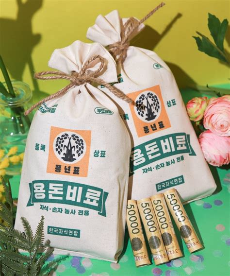 비료 용돈 돈 현금 봉투 [효도 반전 용돈 이벤트 박스 어버이날 선물 부모님 생일 생신 포장] 에이블리