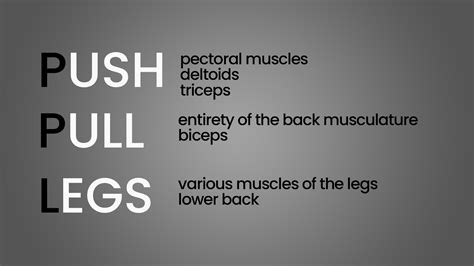 push day exercises chest triceps and upper body inspire us