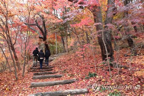 늦가을 만끽 연합뉴스
