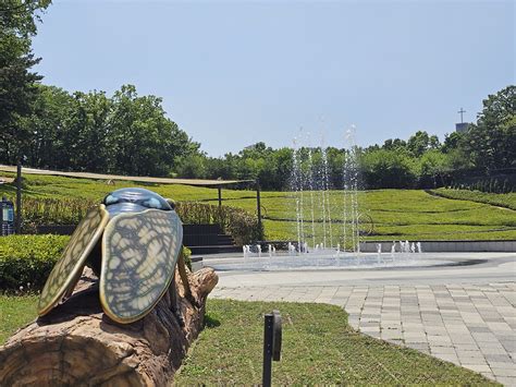 당신에게 가장 가까이 있는 것을 존중하고