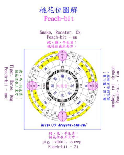 feng shui peach bits 九龍堂五術網