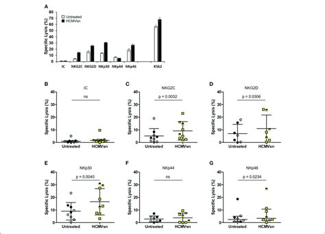 Effect Of Hcmvsn On Nk Cell Cytotoxicity Directed Through Different