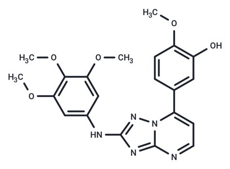 Tubulin Polymerization In 39 Targetmol