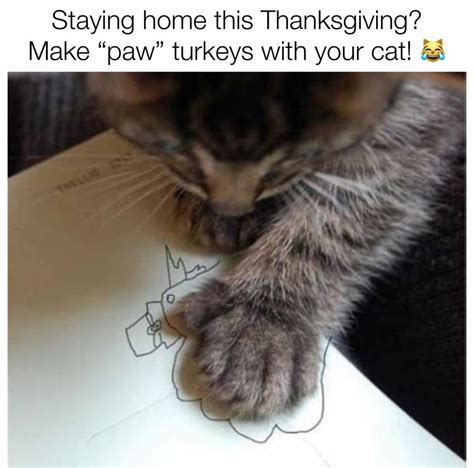 ‘cats On Catnip 50 Funny And Relatable Cat Memes That Show Why The Internet Loves Them So Much