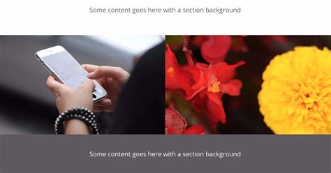 Divi Tip A Sliver Of White Almost Inevitable Tutorials