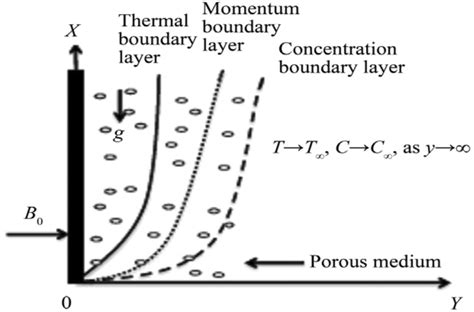 Physical Model And Coordinate System Download Scientific Diagram