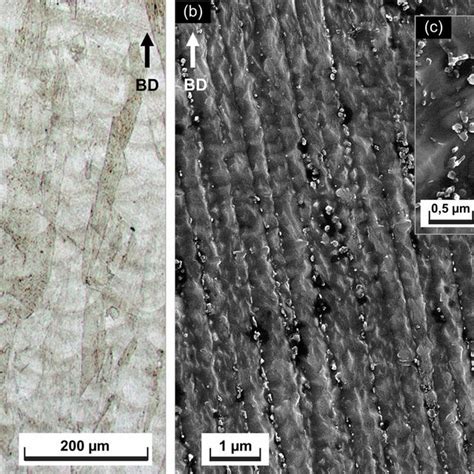 Microstructure Of In939 In The As Built Condition A Optical Download Scientific Diagram
