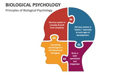 Biological Psychology Powerpoint Presentation Slides Ppt Template