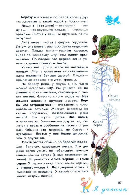 Атлас определитель "От земли до неба". Деревья и кустарники