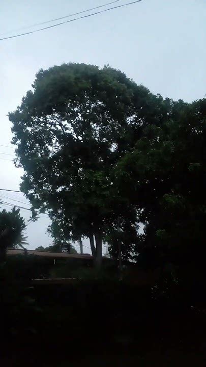 කොළඹ පවතින දැඩි සුළං සහ වැසි😥🤔 2023 07 05 Youtubeshorts Youtube