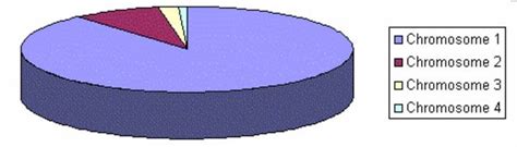 The Structure Of Roulette Wheel Download Scientific Diagram