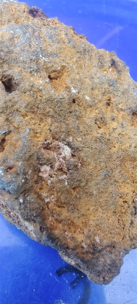 Paramagnetism R Electrocultivation