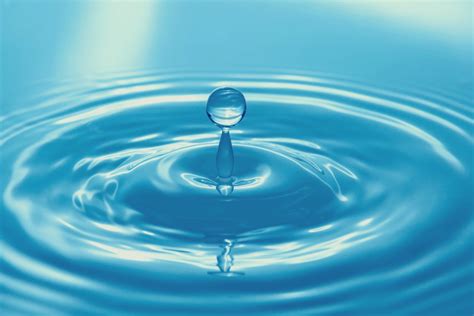 Every Drop Counts 3 Examples Of Water Efficient Designs