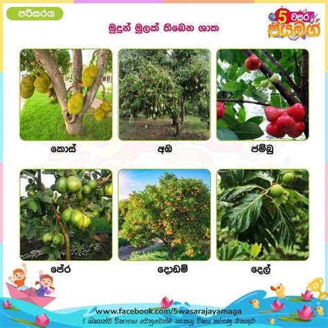 අපේ පාඨශාලාව අපේ පාඨශාලාව Added A New Photo