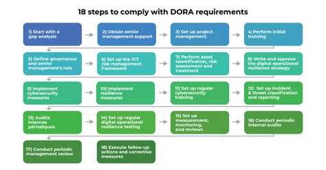 Dora Process 18 Implementation Steps