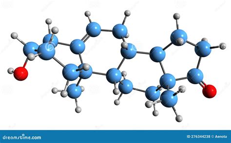 3d Image Of Dehydroepiandrosterone Sulfate Skeletal Formula Royalty