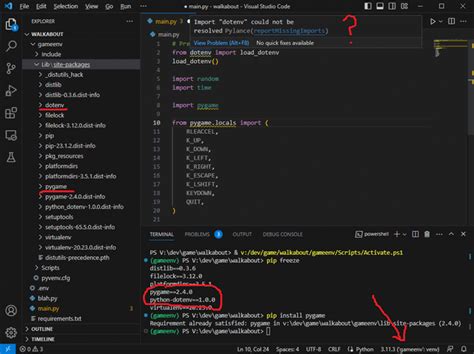 i ve set my python environment my venv has the libraries they import in a console interpreter
