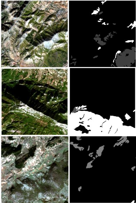 figure 1 from forest semantic segmentation based on deep learning using