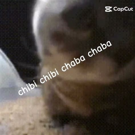 Chibi Chibi Chaba Chaba Shorts Youtube