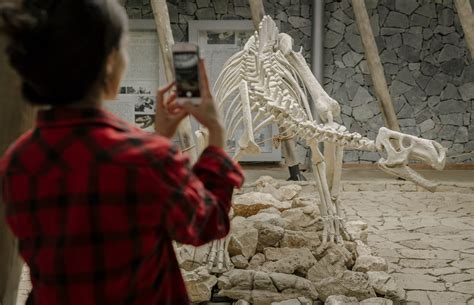 National Parks Of Georgia საქართველოს ეროვნული პარკები