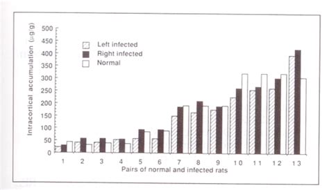 Effect Of Enterococcus Faecalis Pyelonephritis On The Intracortical Accumulation Kinetics Of