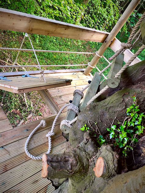 Double Tree Deck Effingham Surrey Treehouse Life