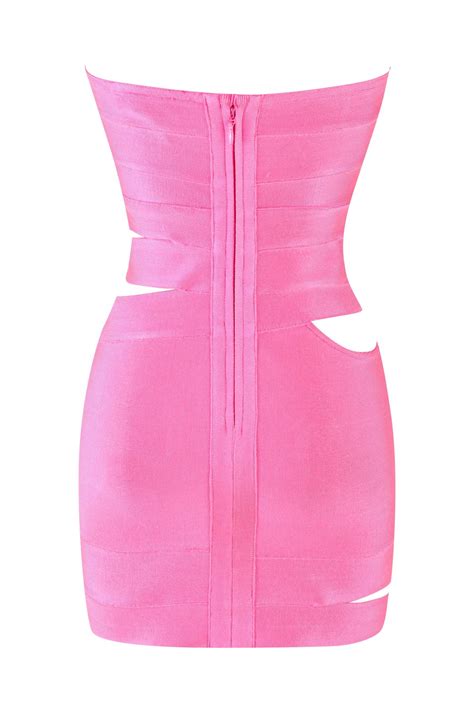 Flavia Mini Dress Pink Hot Pink Iamgia