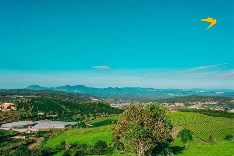 Digital Transformation Modernizing A Legacy System Creospark