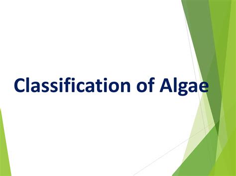 Classification Of Algae Pdf