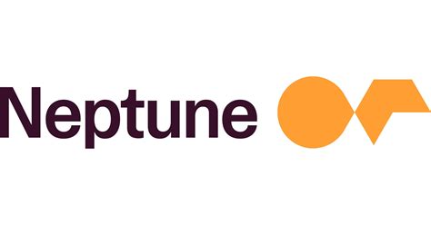 unlock the power of rapid sap app development with neptune software s