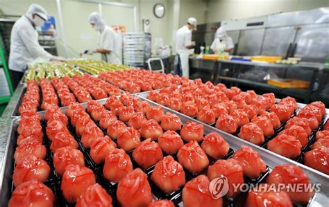 추석 선물용 꽃 과자