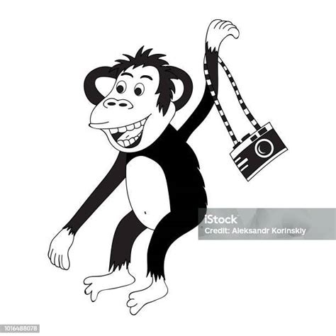 카메라와 함께 원숭이 벡터 일러스트 레이 션 블랙 화이트 그린 개념에 대한 스톡 벡터 아트 및 기타 이미지 개념 귀 부분