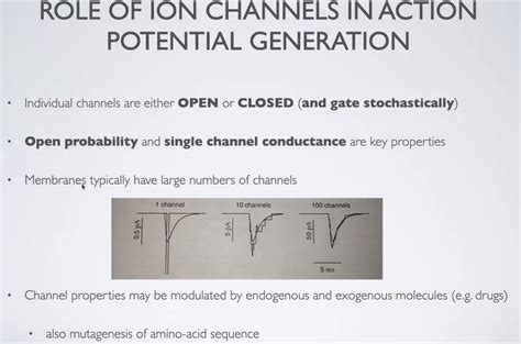 Lecture 3 Neuroscience Mofianger MofMOF S Secret Base