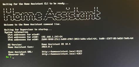 Help For Newby Cannot Connect To HA Installation Home Assistant Community
