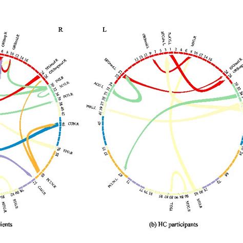 The Overlapping Connections Between The Directed Networks Of 5 Sites Of