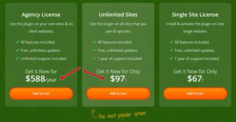 The Anchoring Effect