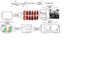 Chitosan Doped Zno Nanoparticles For Antibacterial Antifungal And