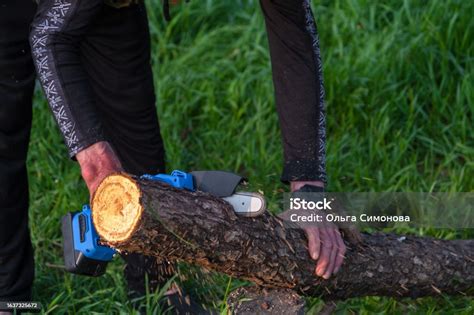 장작과 나무를 자르기 위한 배터리에 휴대용 휴대용 캠핑 전기 톱 클로즈업 통나무를 톱질하는 손 날아가는 파편 건강관리와 의술에 대한 스톡 사진 및 기타 이미지 Istock