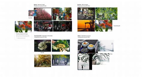 dev nguyen s streaming intro behance