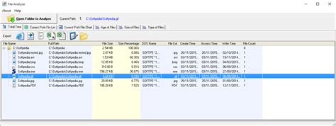 Fms File Analyzer Download Softpedia