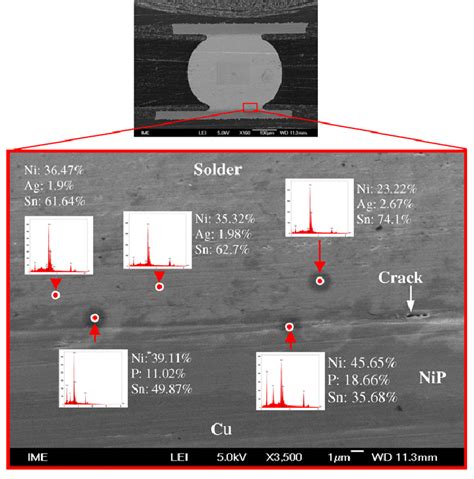 High Magnification Cross Section Photograph Of Sac101 Enig Download Scientific Diagram