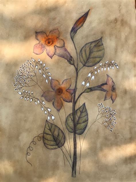 Wildflower By Laxmi Gupta