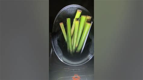 过马路时，一个警察叔叔把我拦下来，指着我的车篮子问我这是啥，我说小甘蔗啊。你吃不吃？很甜的！他一脸懵逼的看着我，我刚准备拿给他尝尝，他说，你用啥装的，我说头盔啊，不然掉了咋办😂😂然后就是30块