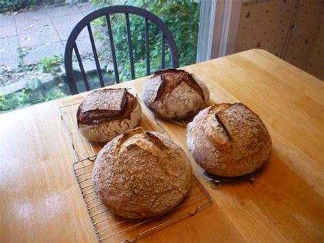 Exorphin Junkie Sex Bread Better Than Viagra For Prolonged Erections