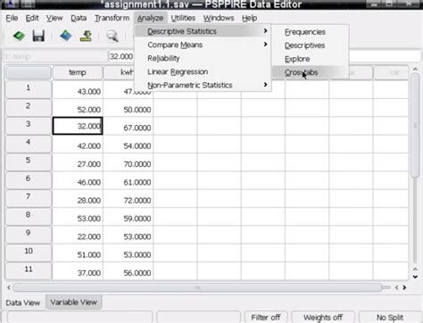 Pspp Software