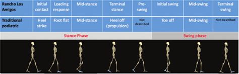 Workflow In Observational Gait Analysis Video Playback