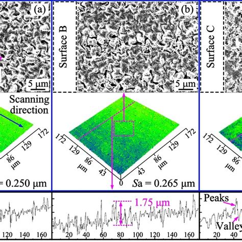 Sem Morphologies 3d Morphologies As Well As 2d Cross Section Profiles Download Scientific