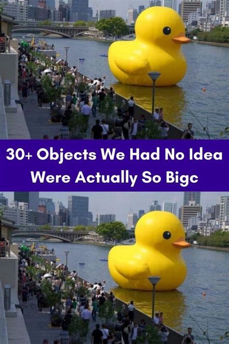 30 Objects We Had No Idea Were Actually So Big Artofit